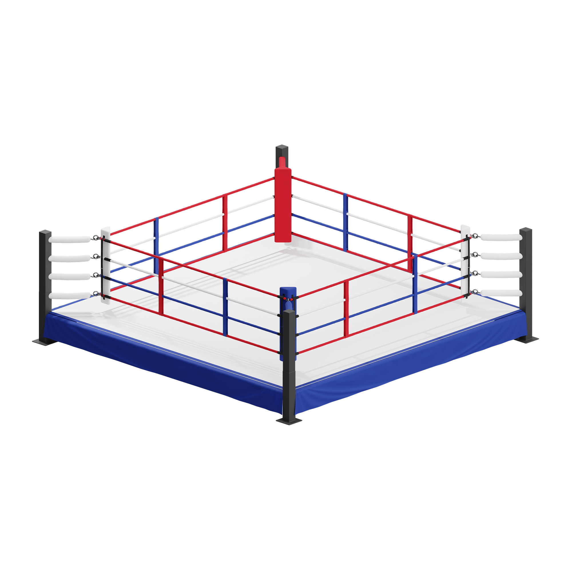 Prolast Custom Boxing Ring - 1ft – PROLAST